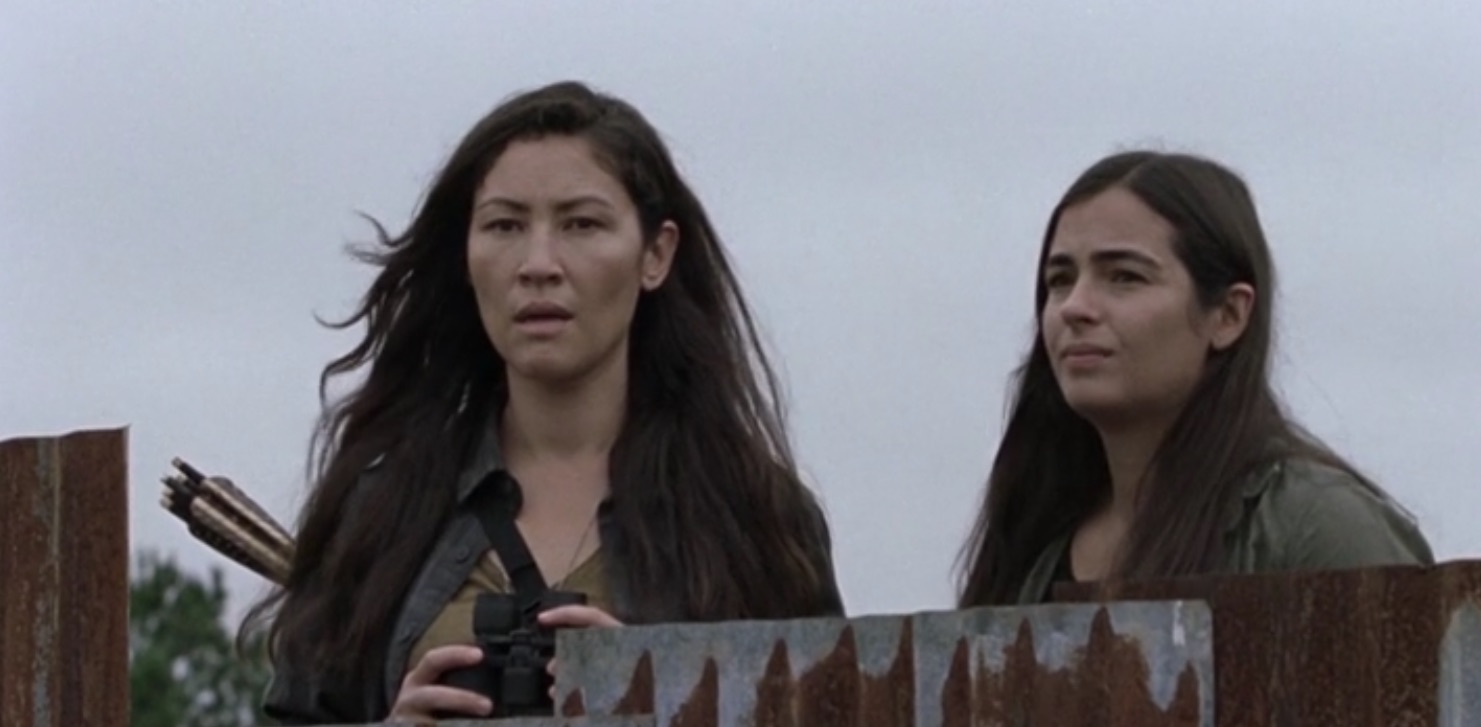 Review The Walking Dead: Omega – Casa Spammer